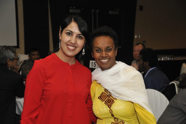 Ethnocultural Council of Manitoba – Ethnocultural Communities in ...